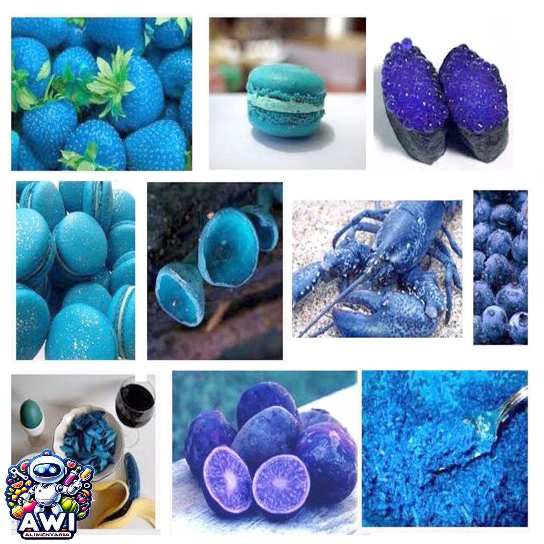 COLORANTE NATURAL AZUL ESPIRULINA